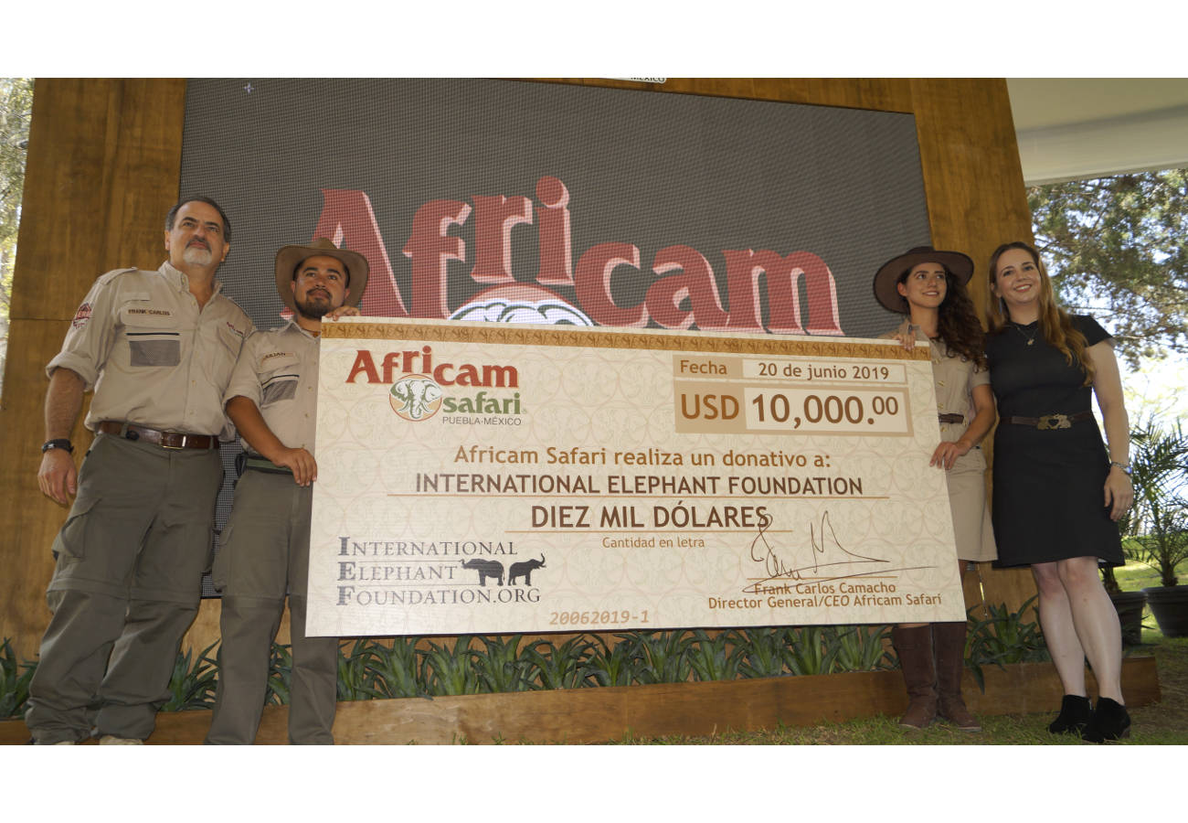 AFRICAM SAFARI presenta logros alcanzados y entrega importantes ...